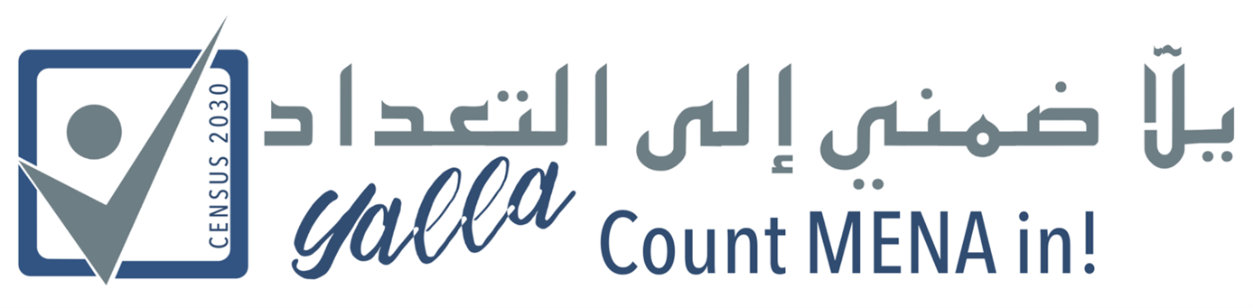 Make MENA Visible: A Call for Change in Federal Data Collection